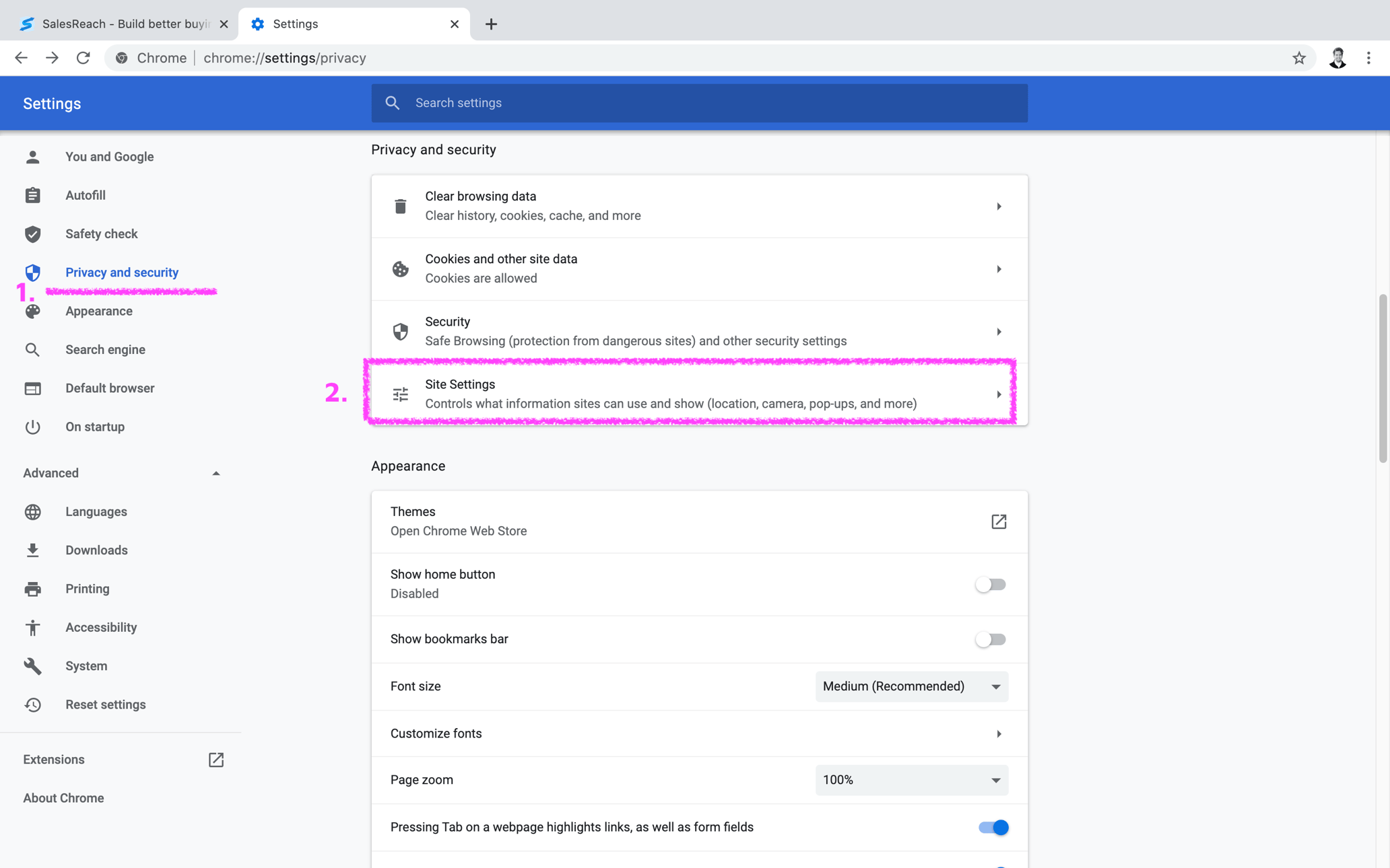 How to Allow Camera and Mic Permissions on Google Chrome